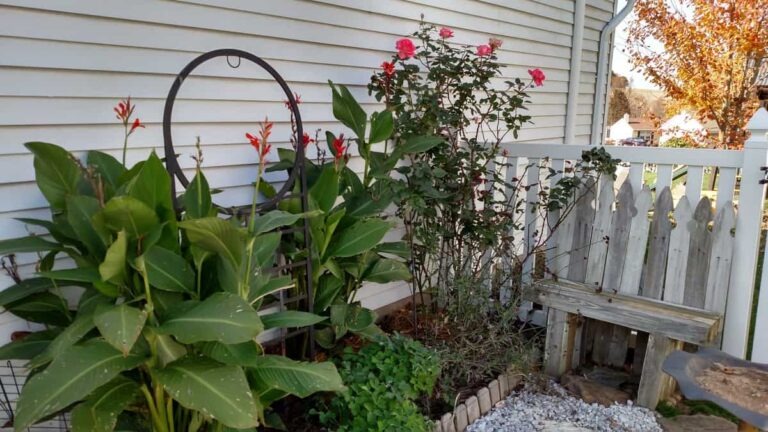 Landscaping the Right Side with a Dry Riverbed – B4 and Afters