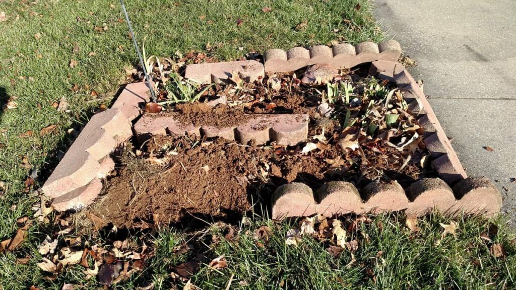 Scalloped Brick Edging – B4 and Afters