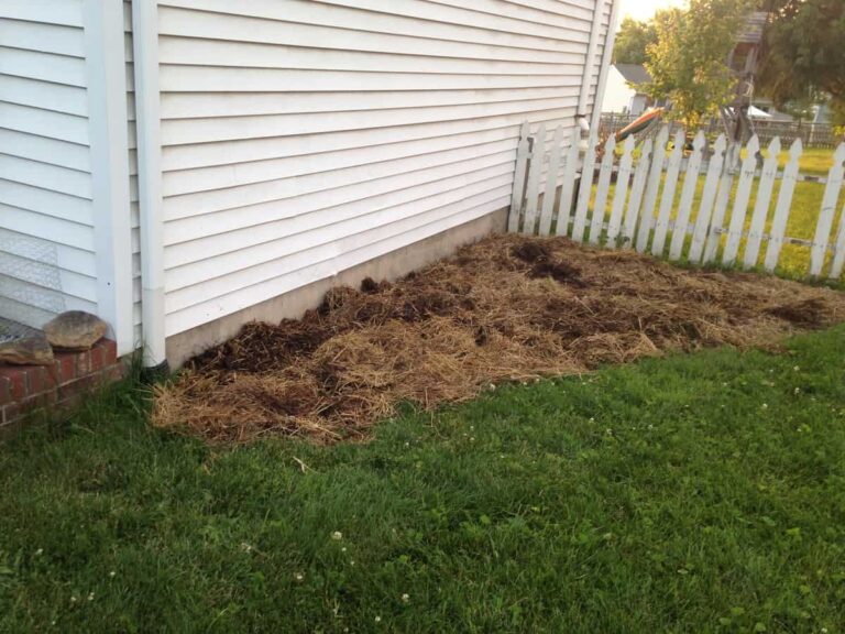 Landscaping the Right Side with a Dry Riverbed – B4 and Afters