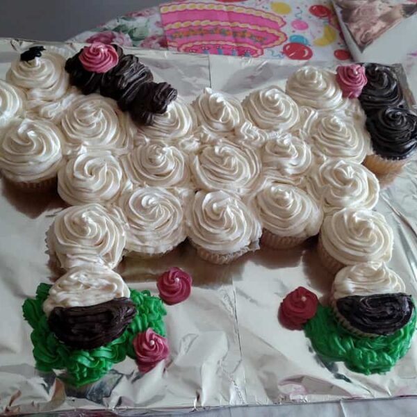 Easy Number Five Cupcake Birthday Cake – B4 and Afters