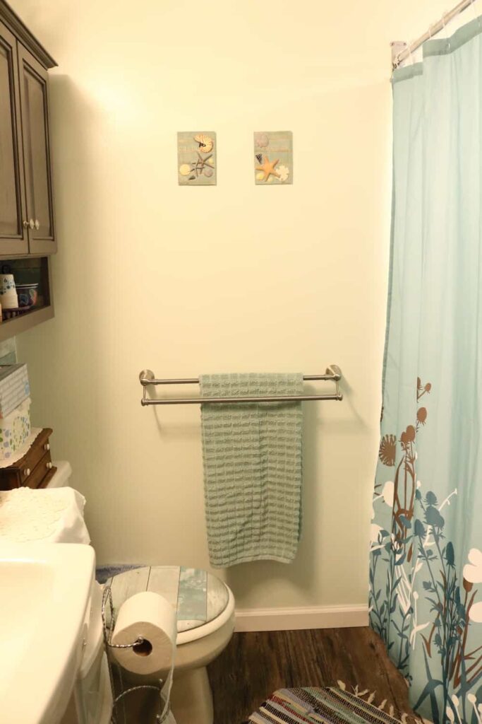 Update on Downstairs Bathroom (with Video) – B4 and Afters