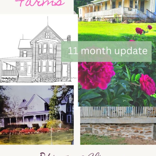 Fall Signs using Leftover Beadboard – B4 and Afters