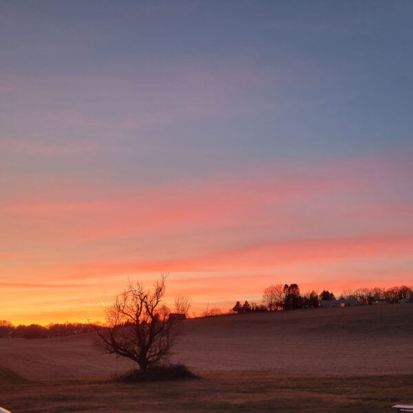 Fall Signs using Leftover Beadboard – B4 and Afters