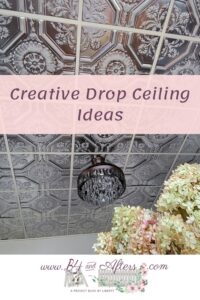 Creative Drop Ceiling Ideas – B4 and Afters