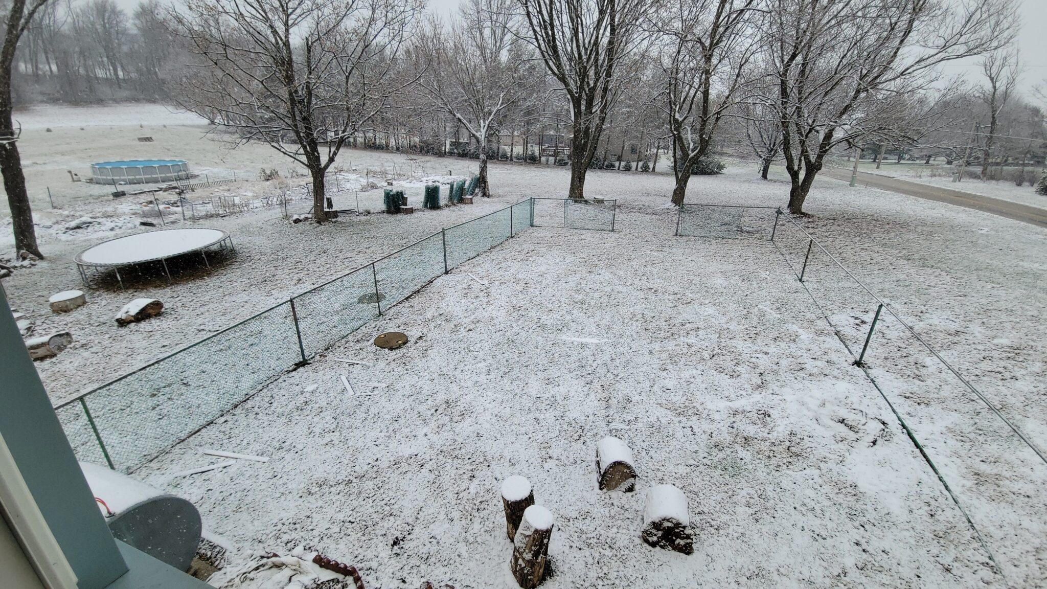 A Fence for the Dog and How I Broke my Toe – B4 and Afters