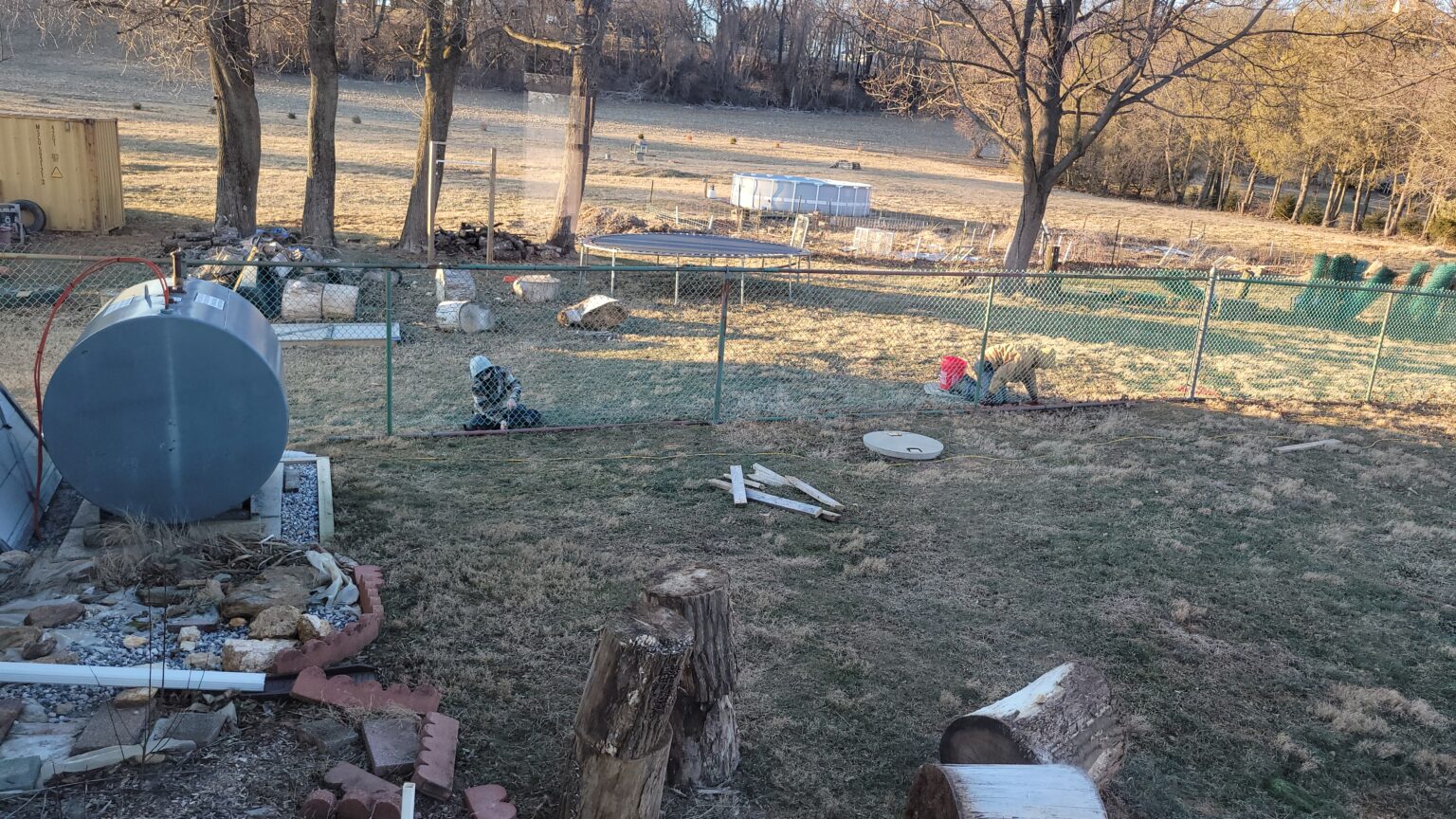 A Fence for the Dog and How I Broke my Toe – B4 and Afters