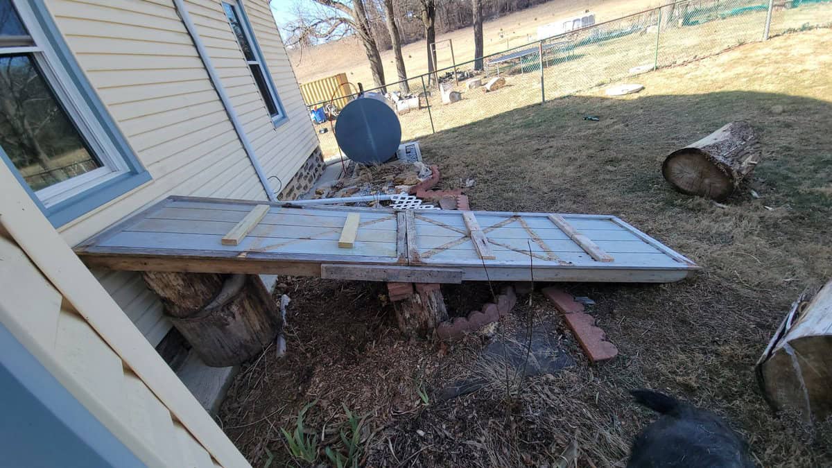 A Fence for the Dog and How I Broke my Toe – B4 and Afters